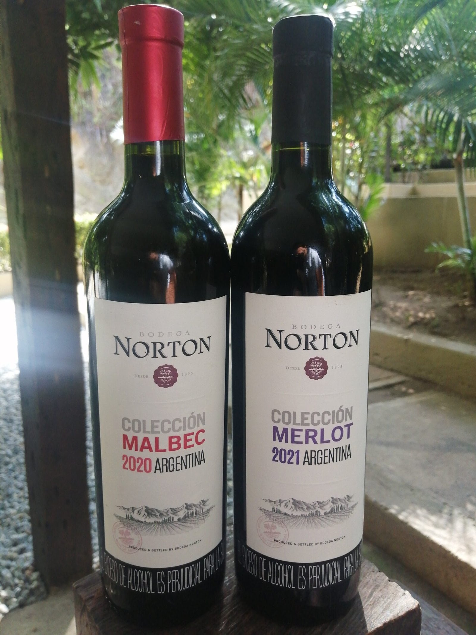 VINO TINTO NORTON MERLOT o MALBEC 750 ML - Hotel Isabella Tayrona